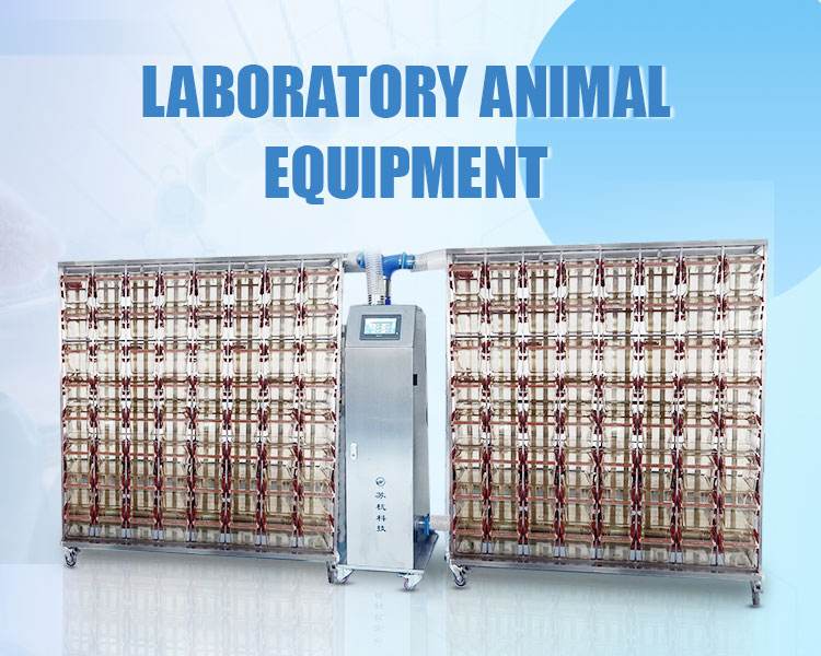 Experimental Animal, Laboratory Animal, Animal Cage, Individual ...